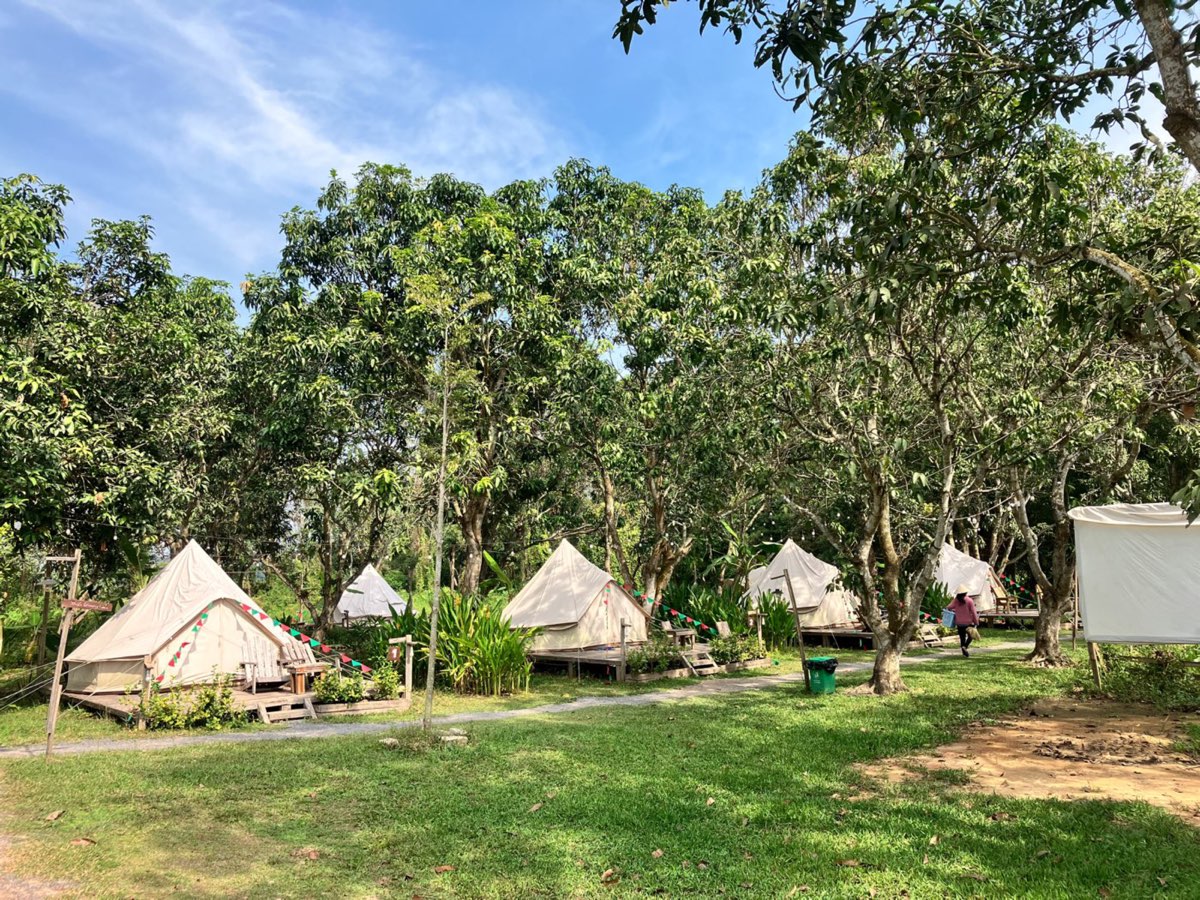 Chuyện về Binifarm - binifarm.com